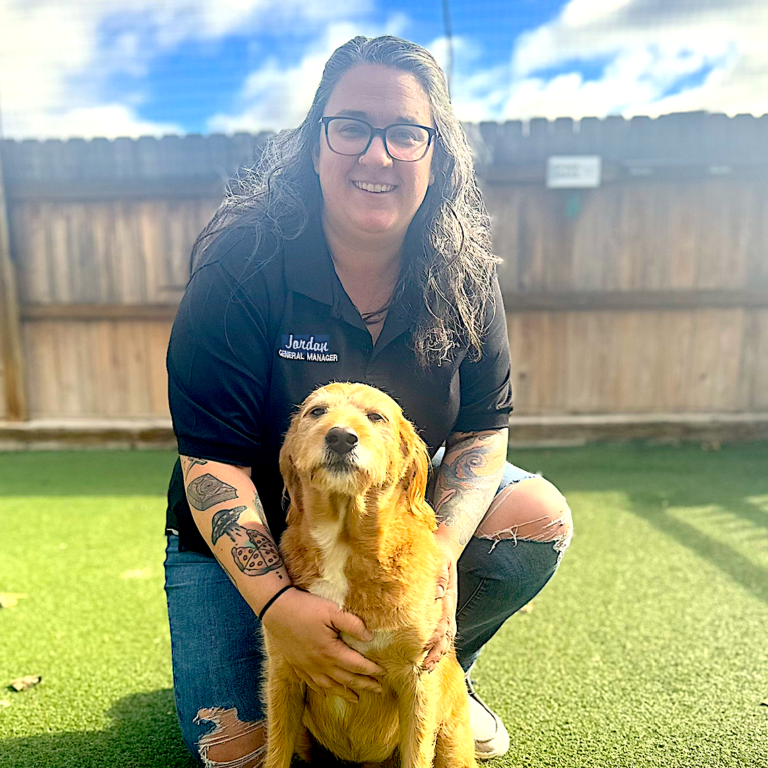 Dog Boarding in Buffalo NY - Fetch N' Catch